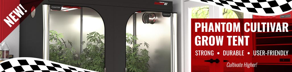 PHANTOM Cultivar | GrowDaddy
