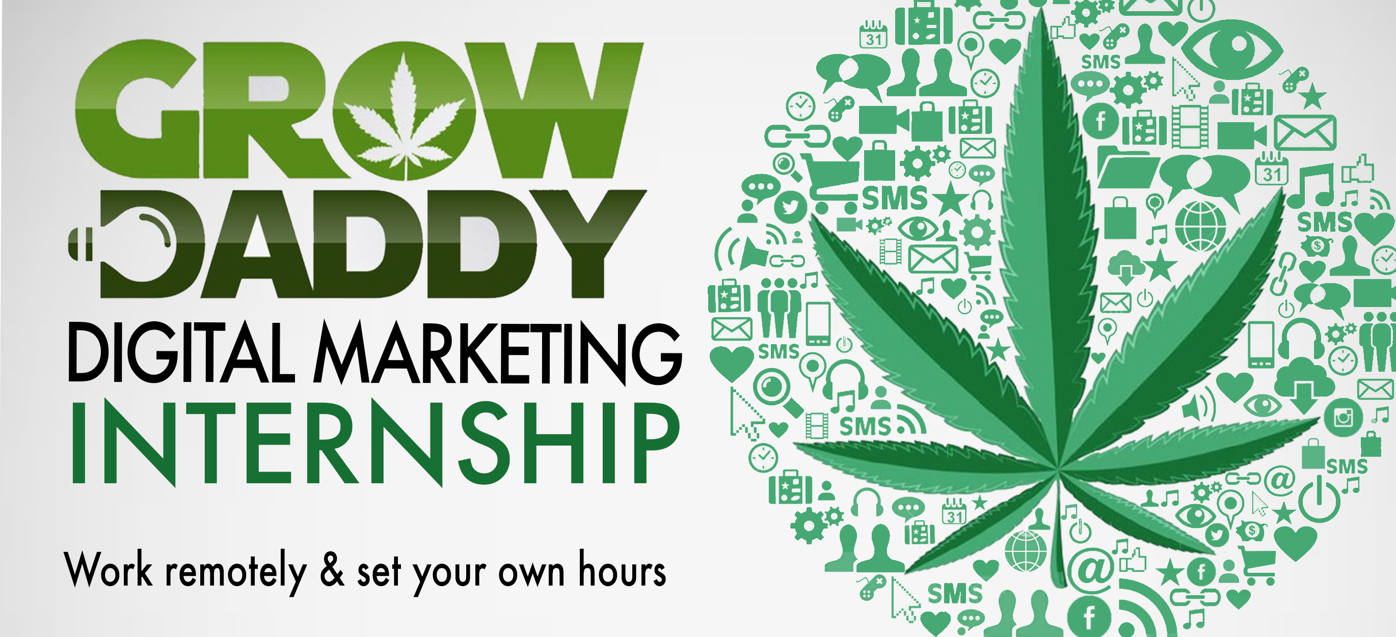 Grow Daddy is hiring a Digital Marketing Intern | GrowDaddy