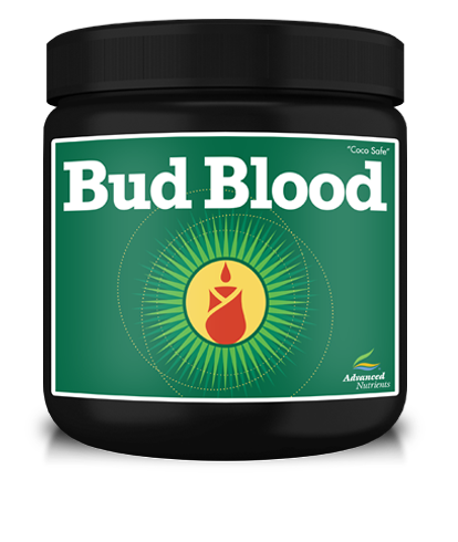 Advanced Nutrients: Bud Blood | GrowDaddy